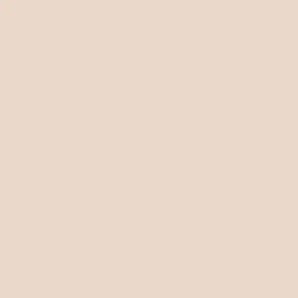 SUQQU Radiant Cream Concealer - Neutral