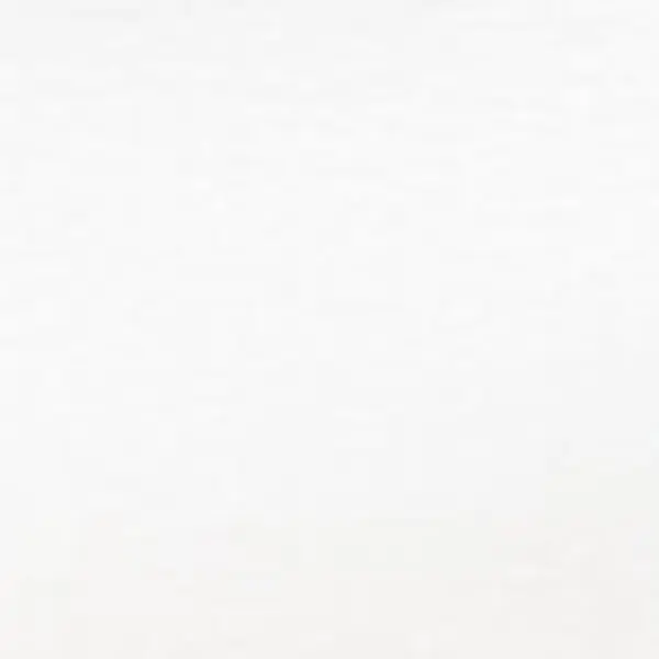 AUTRY Leather Medalist Low-top Sneakers