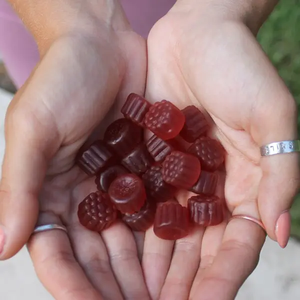 HAVASU NUTRITION Elderberry Gummies For Adults
