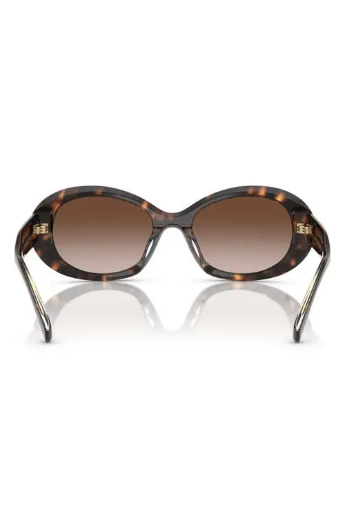 Tory Burch 53mm Gradient Oval Sunglasses - Tortoise