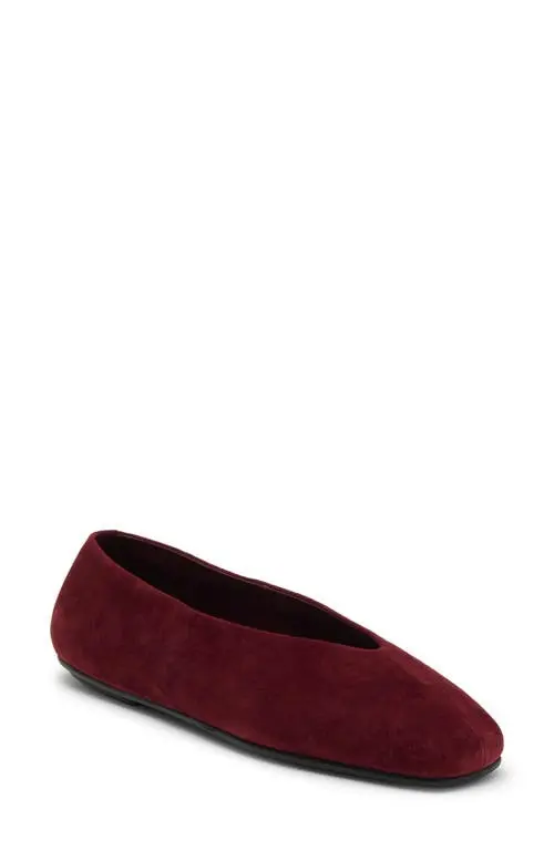 Jeffrey Campbell Fathom Flat - Wine Suede