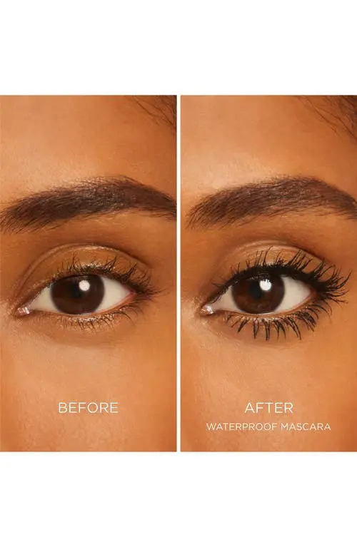 Carolina Herrera Fabulous Eyes Waterproof Mascara