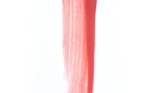 Gee Beauty Nourishing Lip Gloss - Dylan