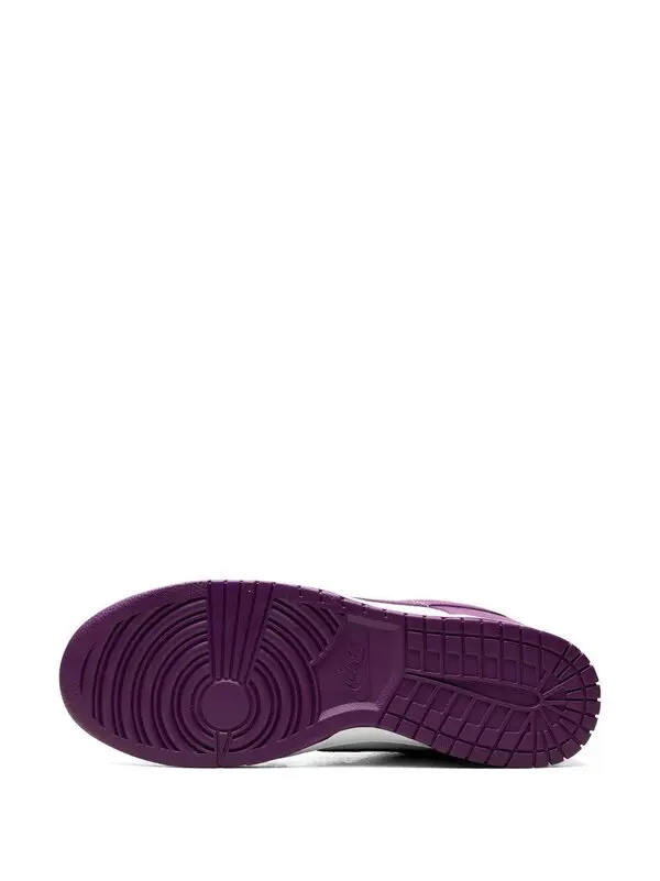 Nike Dunk Low Sneakers