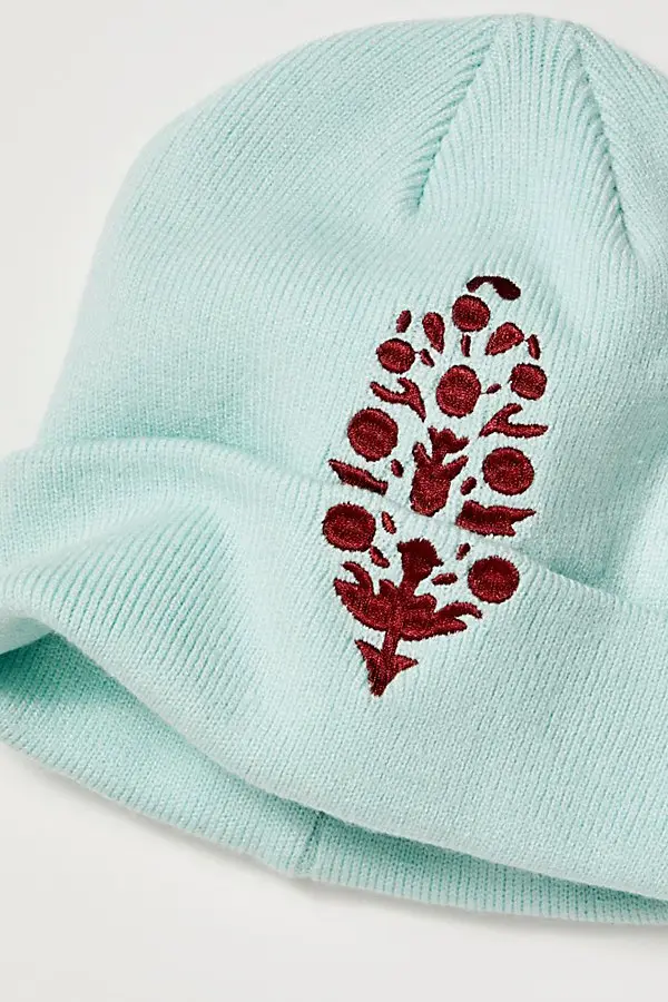 Free People Iconic Buti Beanie - Pistachio/fried Clay
