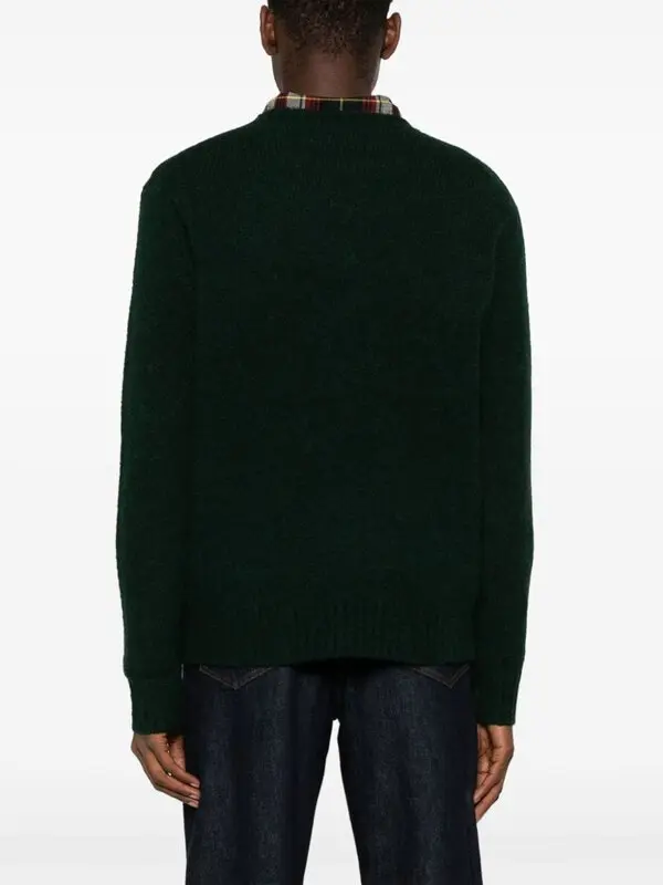 Polo Ralph Lauren Brushed Knit Sweater - Green