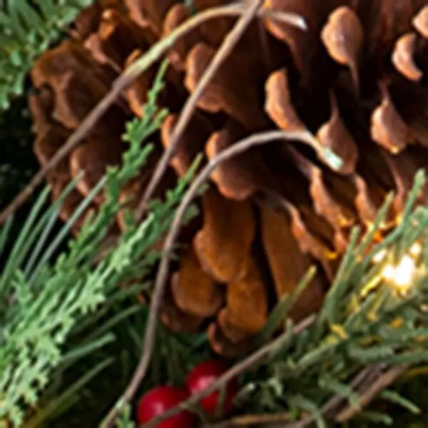 BALSAM HILL Outdoor Red Berry Wreath
