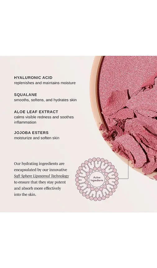 WANDER BEAUTY Blush Day Hydrating Powder Blush - Priority Pink