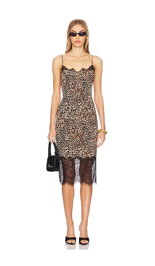 Loba Day Dresses From $63 | Editorialist