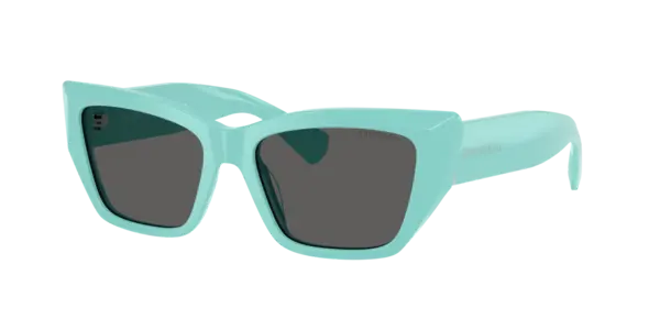 Tiffany & Co. Sunglasses - Dark Grey