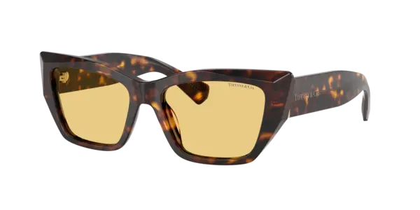 Tiffany & Co. Sunglasses - Orange