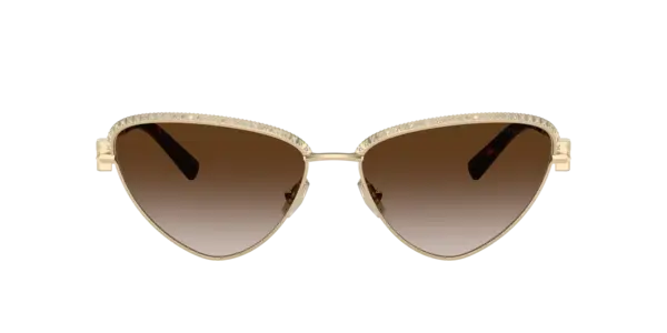 Tiffany & Co. Sunglasses - Brown Gradient