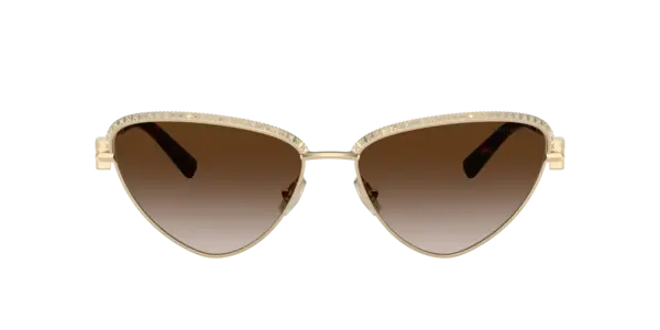 Tiffany & Co. Sunglasses - Brown Gradient