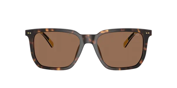 Polo Ralph Lauren Sunglasses - Dark Brown
