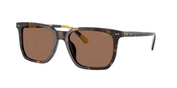 Polo Ralph Lauren Sunglasses - Dark Brown