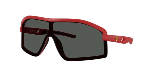SCUDERIA FERRARI Sunglasses - Grey