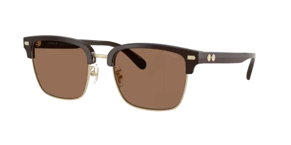 COACH Sunglasses - Brown Solid