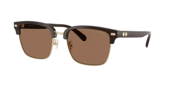 COACH Sunglasses - Brown Solid