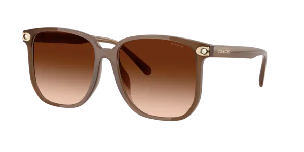 COACH Sunglasses - Brown Gradient