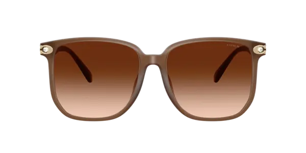 COACH Sunglasses - Brown Gradient