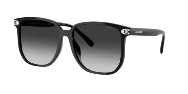 COACH Sunglasses - Grey Gradient
