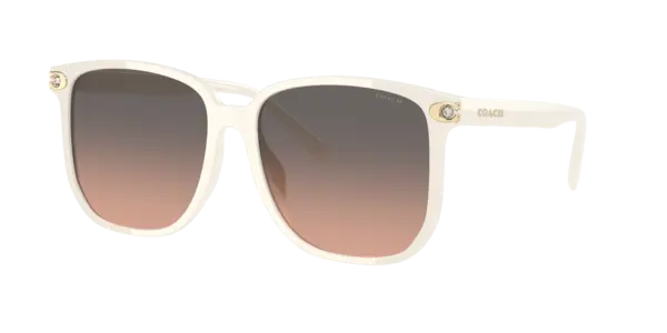 COACH Sunglasses - Warm Grey Gradient