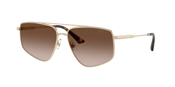 JIMMY CHOO Sunglasses - Brown Gradient