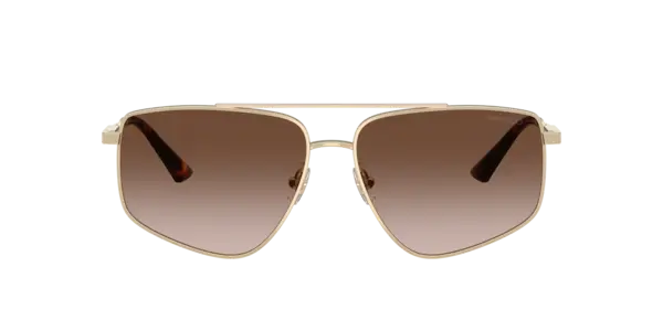 JIMMY CHOO Sunglasses - Brown Gradient