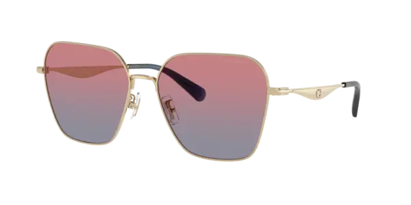 COACH Sunglasses - Blue Saddle Gradient