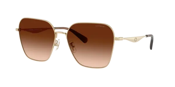 COACH Sunglasses - Brown Gradient