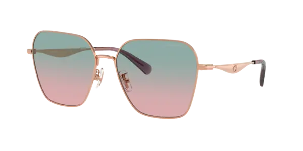 COACH Sunglasses - Forest Grape Gradient