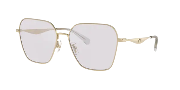 COACH Sunglasses - Grey Photochromatic