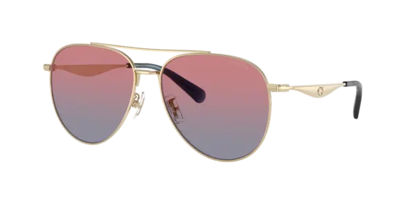 COACH Aviator Sunglasses - Blue Saddle Gradient