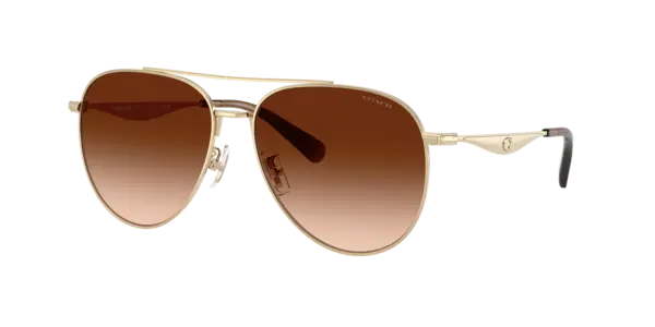 COACH Aviator Sunglasses - Brown Gradient