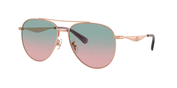 COACH Hc7169 Sunglasses - Forest Grape Gradient