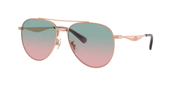 COACH Aviator Sunglasses - Forest Grape Gradient