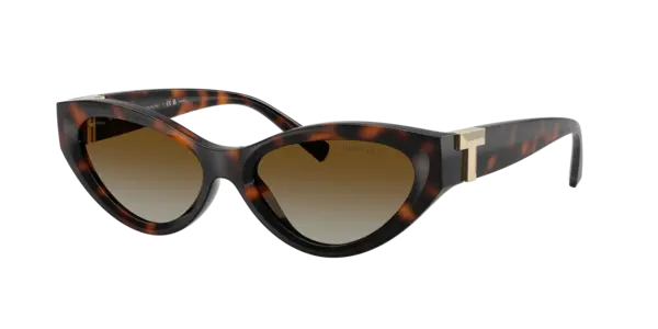 Tiffany & Co. Sunglasses - Polarized Brown Gradient