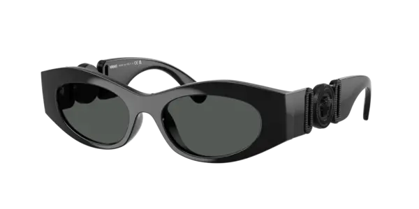 Versace Full Rim Sunglasses - Dark Grey