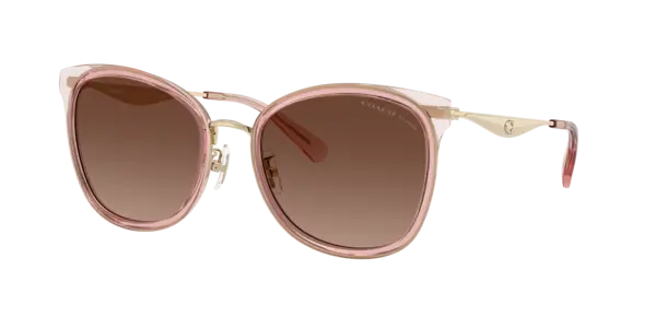 COACH Sunglasses - Brown Gradient Polarized