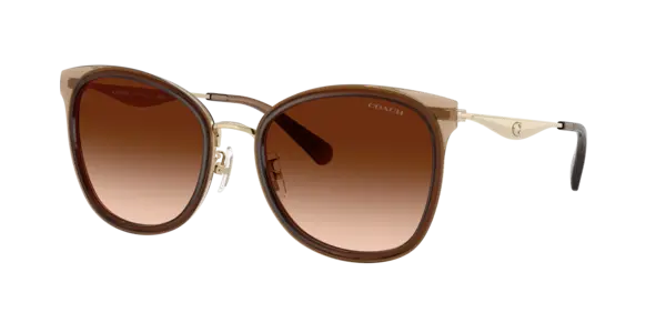 COACH Sunglasses - Brown Gradient