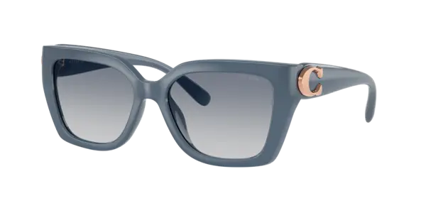 COACH Cat Eye Sunglasses - Blue Gradient