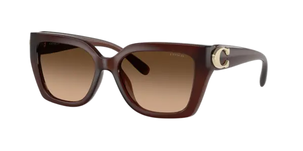 COACH Cat Eye Sunglasses - Brown Gradient