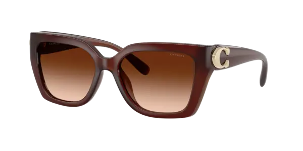 COACH Cat Eye Sunglasses - Brown Gradient