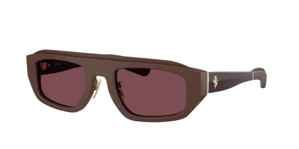 FERRARI Sunglasses - Bordeaux