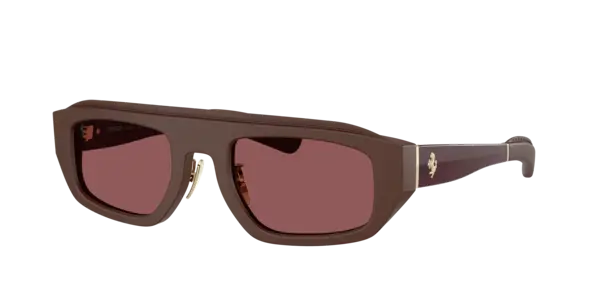 FERRARI Sunglasses - Bordeaux