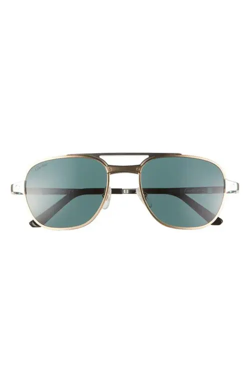 CARTIER 56mm Polarized Panthos Sunglasses - Gold
