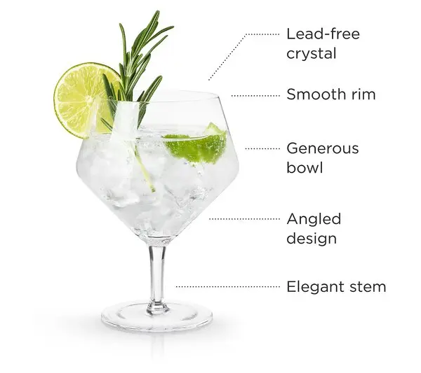 VISKI Angled Crystal Gin & Tonic Glasses