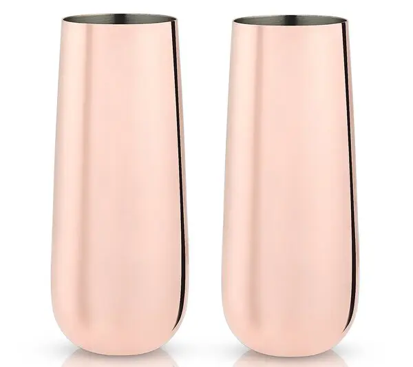 VISKI Set Of 2 Copper Stemless Champagne Flutes - One-color