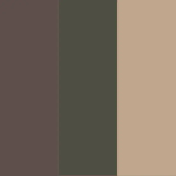 SUQQU 3d Control Eyebrow Palette - Brown