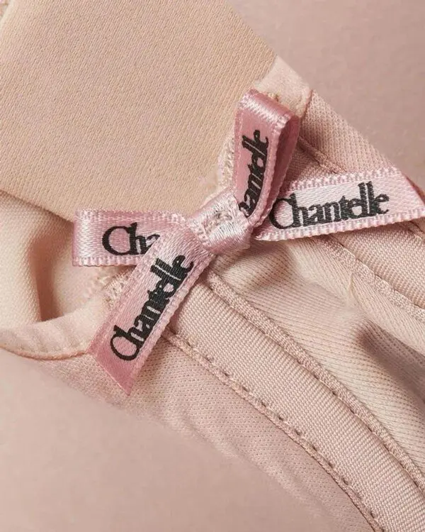 Chantelle Basic Invisible Memory Foam T-shirt Bra - Rose